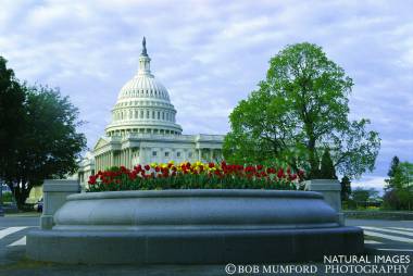 Washington DC – Natural Images